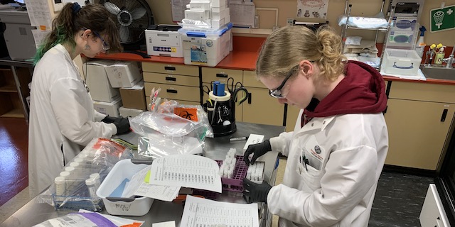 Oregon’s top vet lab looks to protect against new threats | Capital Press