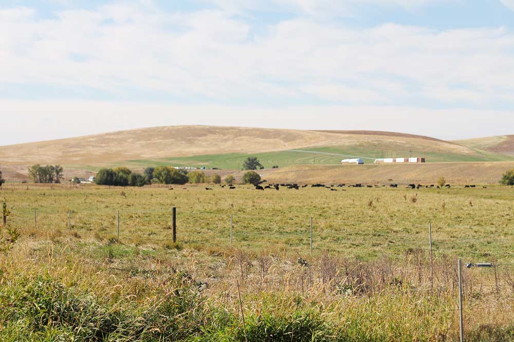 USDA provides premium benefit for cover crops; deadline approaches ...