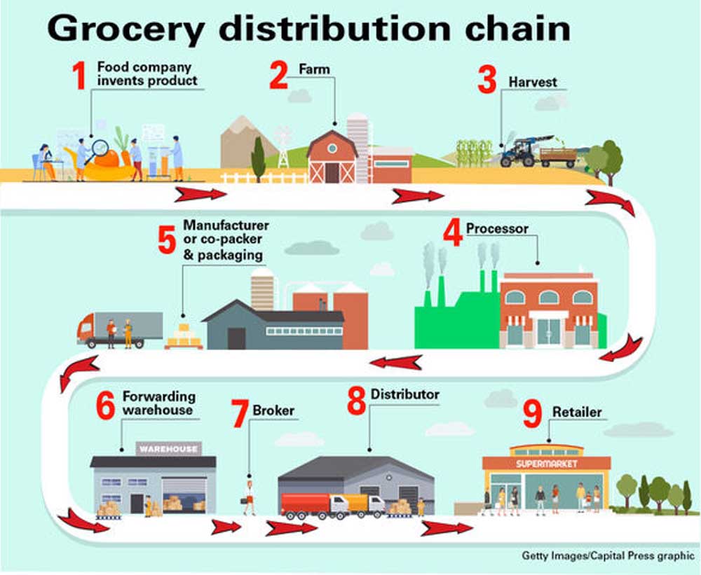 In a pickle: A cucumber’s journey through the grocery supply chain ...