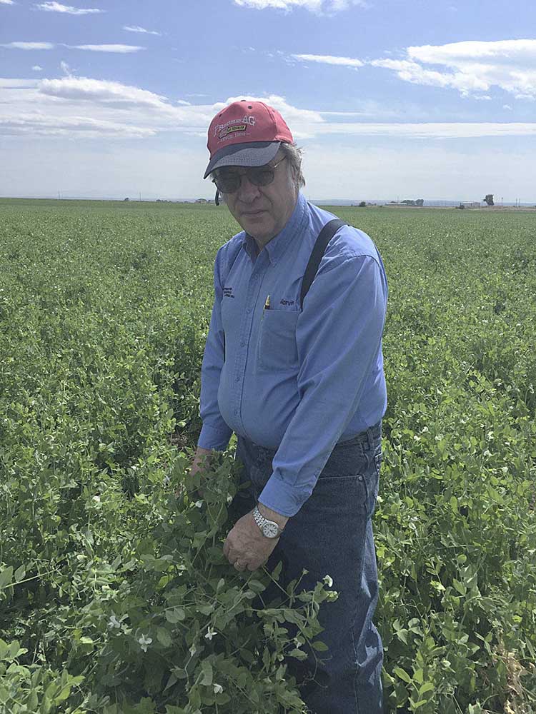 Integrated Biological Systems buys Texas supplier | Capital Press