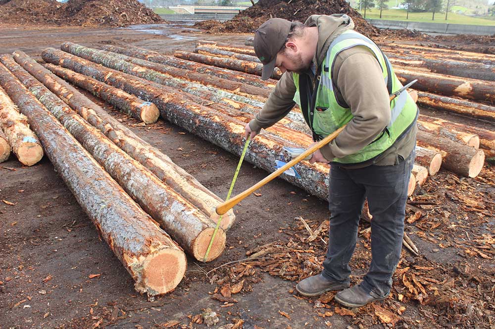 Log scalers work for timber buyers and sellers | Capital Press