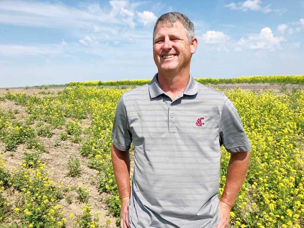 WSU’s Wilke Farm ‘pushing the envelope’ by recropping winter wheat ...