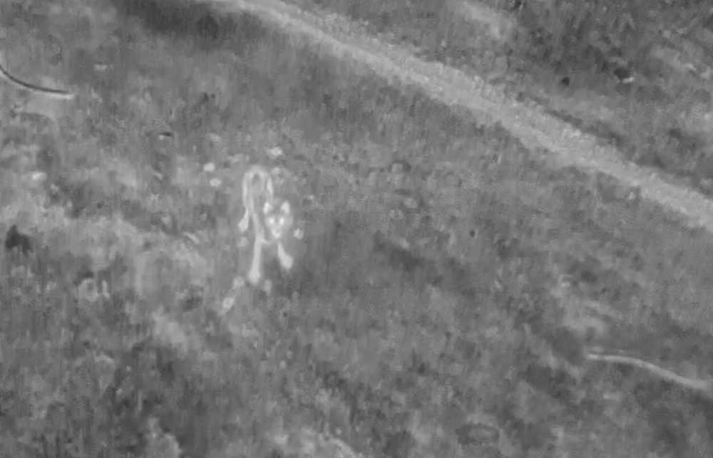 Researchers use drones to scare wolves away from livestock | Capital Press