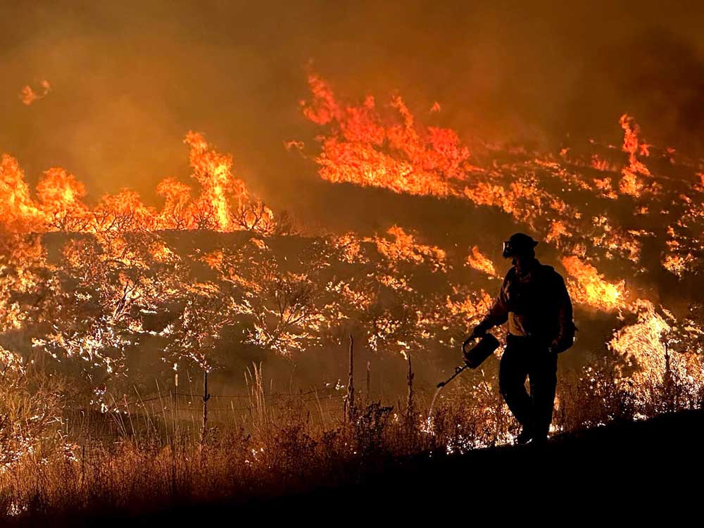 County tallies the damage from summer wildfires | Capital Press