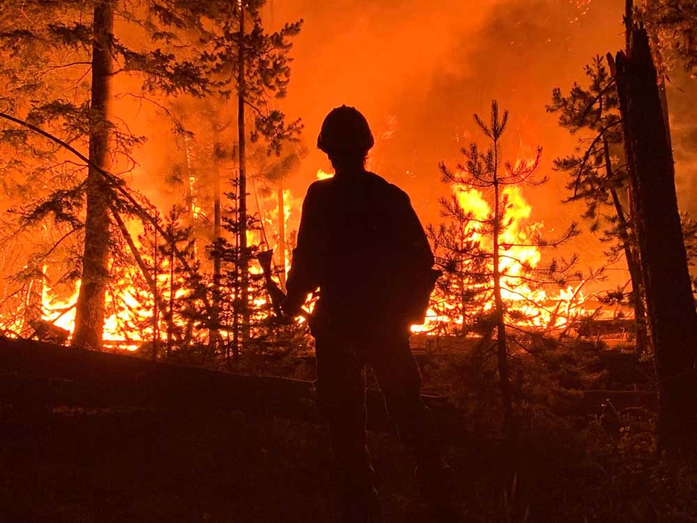 Virtual map details Forest Service efforts to thin fire-prone forests ...