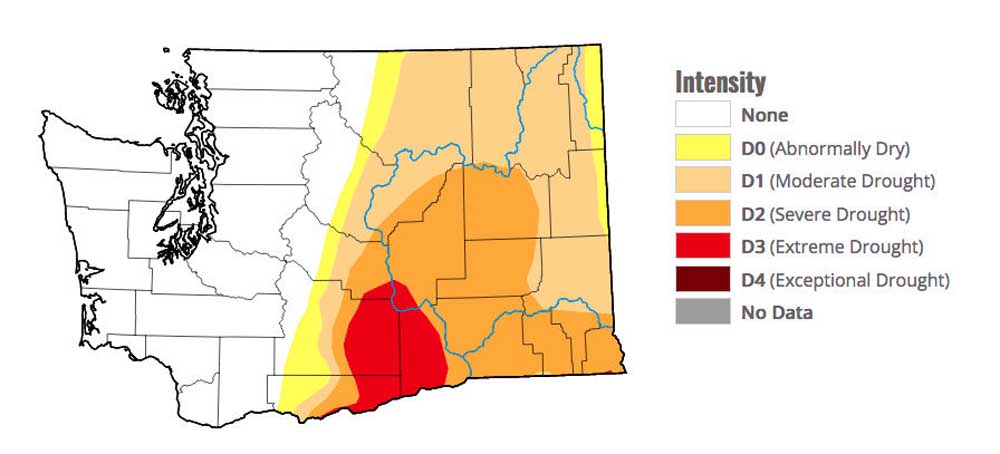 Drought looms in Washington; no relief funds set aside | Capital Press