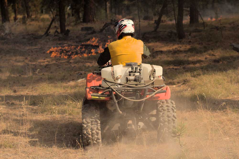 Sheriff, Forest Service react to dismissal of burn boss case | Capital ...