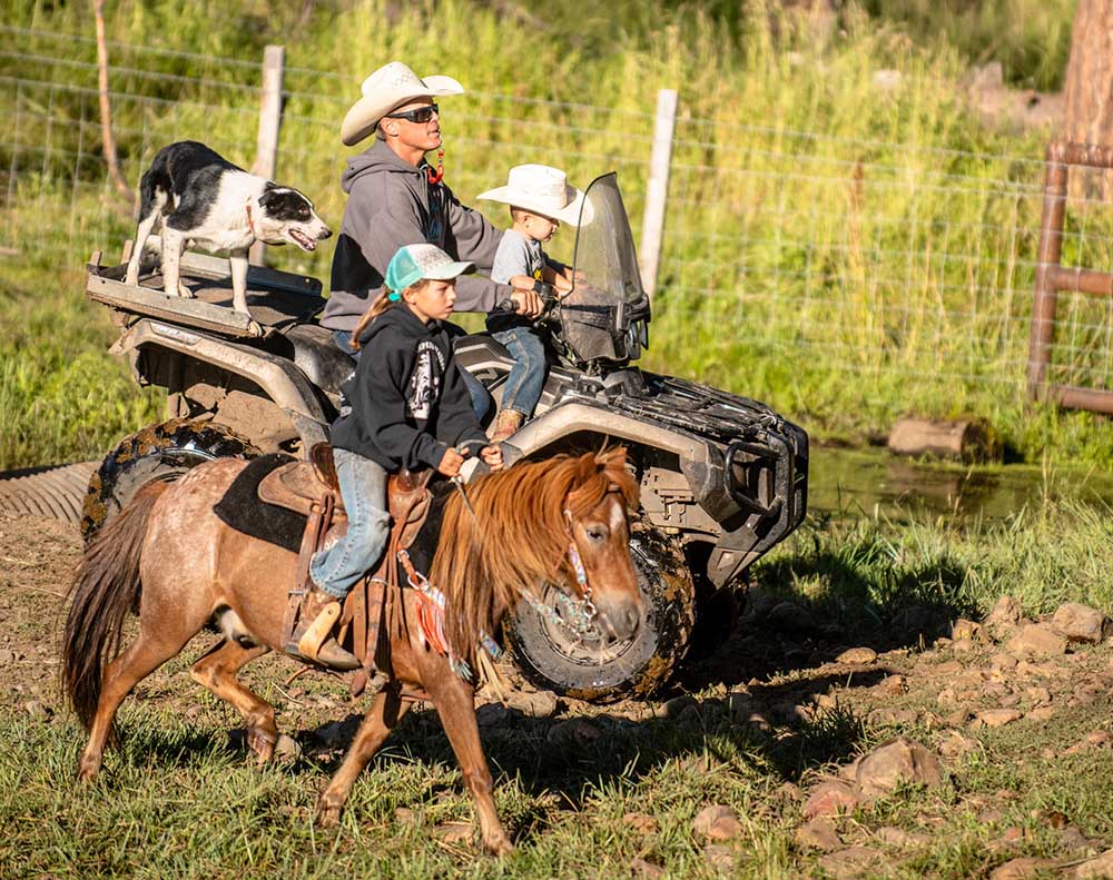 Clint Johnson and his cattle dogs return to Central Oregon Ag Show ...