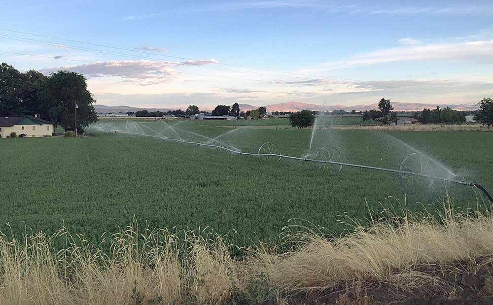 Funding available for NRCS Conservation Innovation Grants | Capital Press