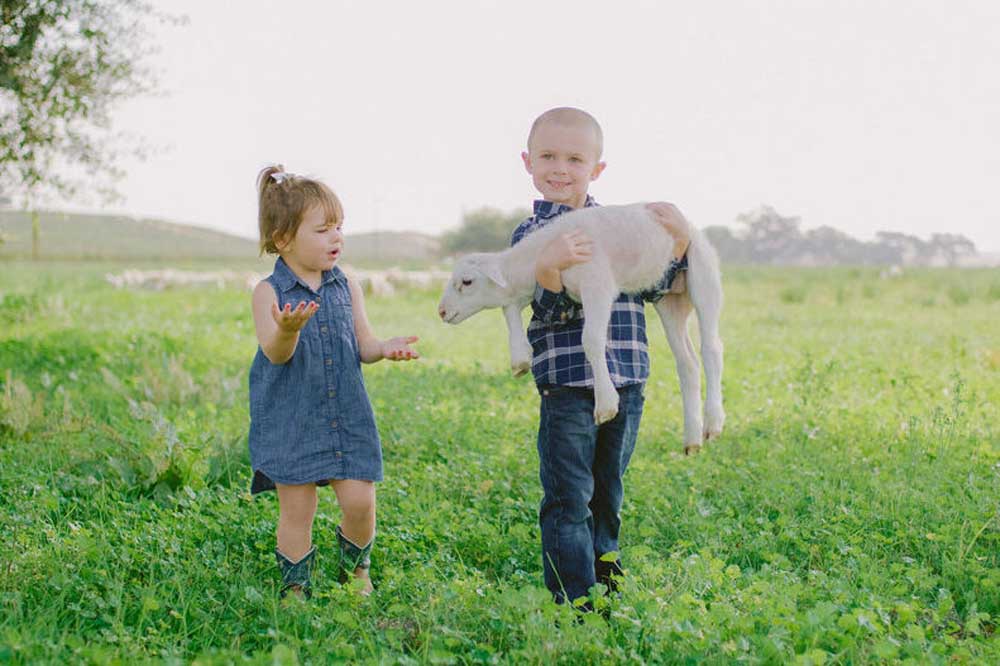 Sheep’s milk ice cream a new twist on an old treat | Capital Press