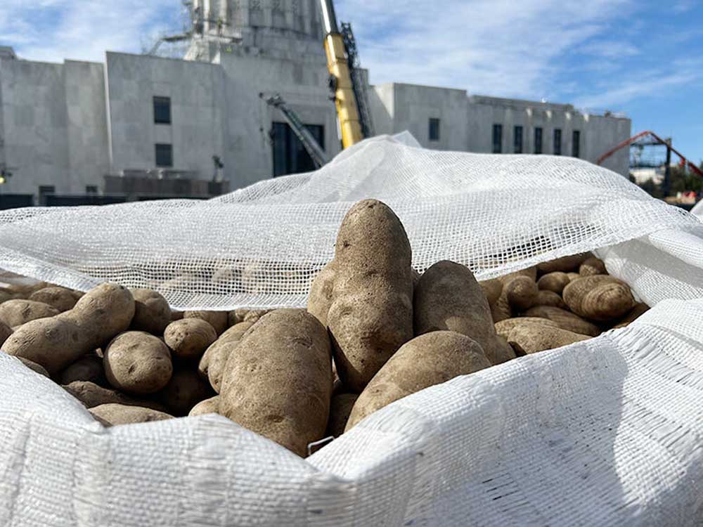 ‘No small potatoes’: Spud celebrated as Oregon state vegetable in ...