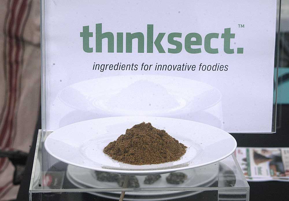 Entrepreneurs chirp about food ideas at OSU market showcase | Capital Press