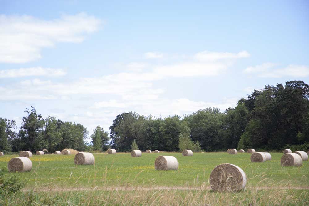 Hay stocks near record low | Capital Press