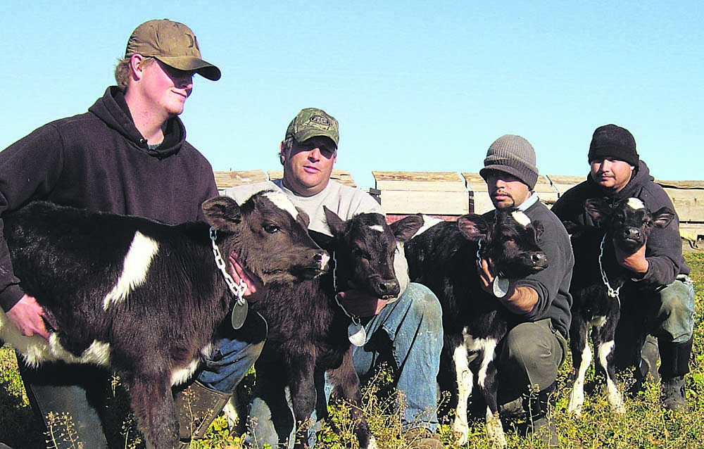 Cow’s quadruplets beat the odds | Capital Press