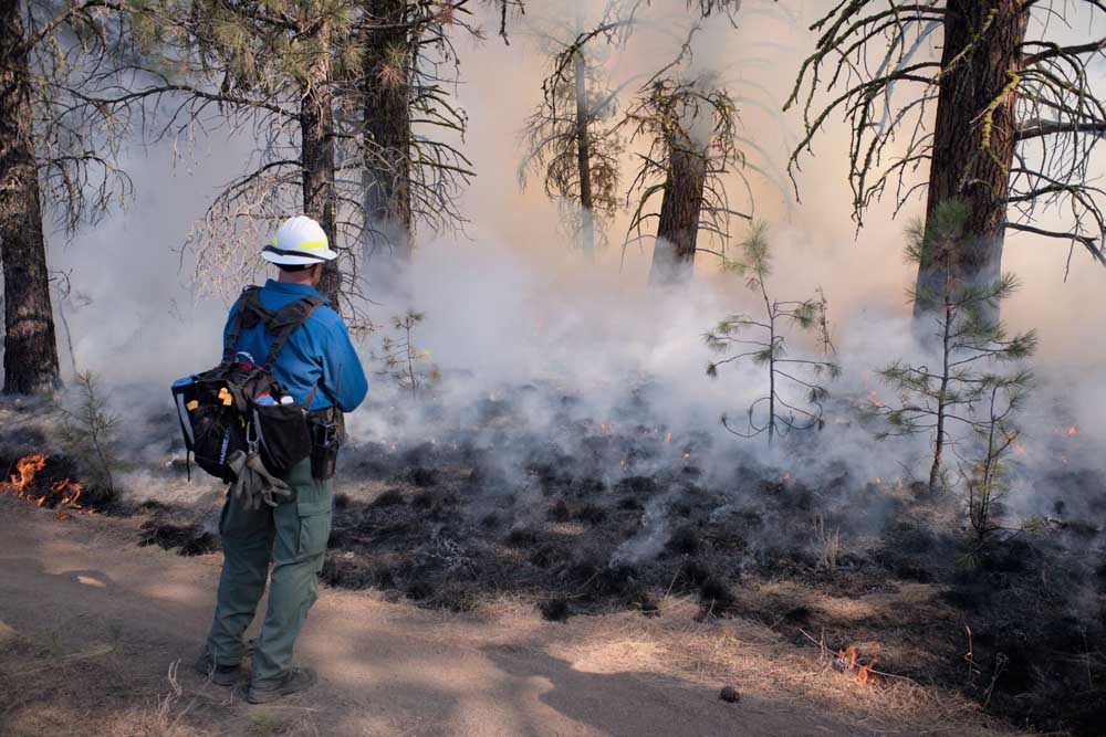 Reckless burning charge against federal burn boss dismissed | Capital Press