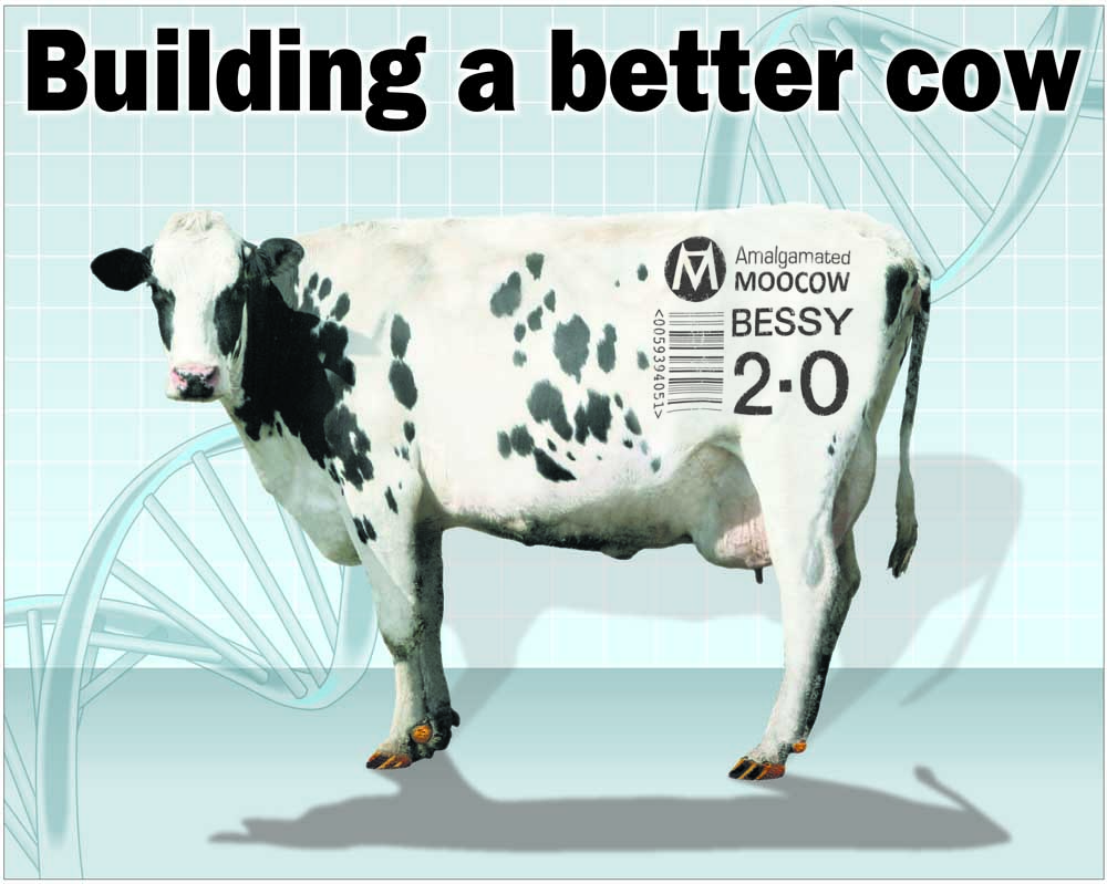 Dairy industry moving toward ‘designer’ cows | Capital Press