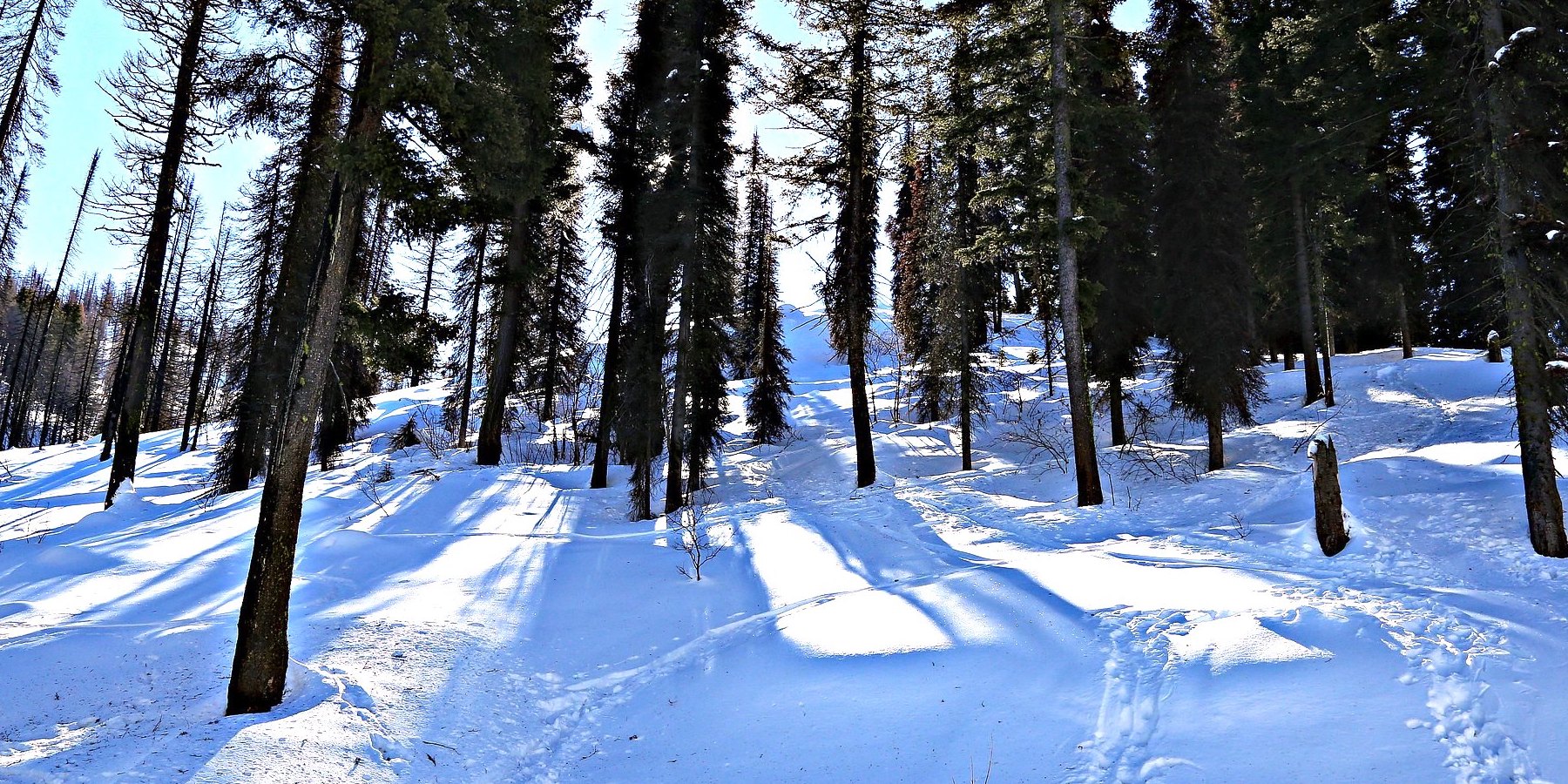 Cold, wet February boosts Idaho water outlook | Capital Press