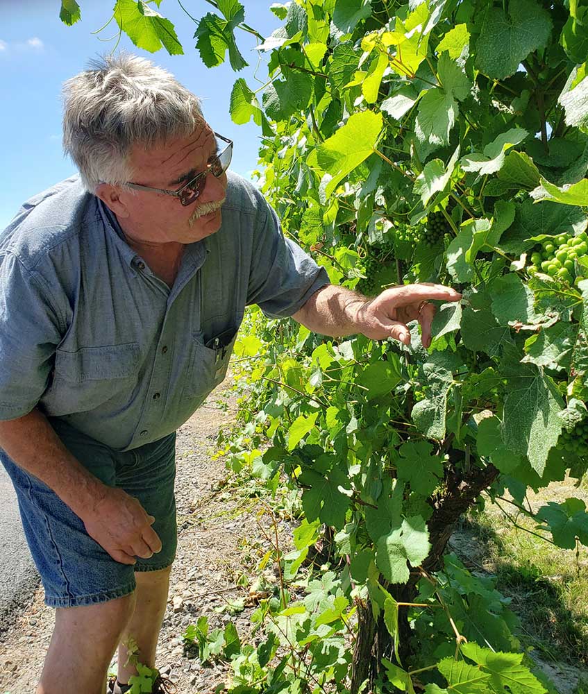 Vitis Ridge Winery & Meridian Estate Vineyard: From geology to ...