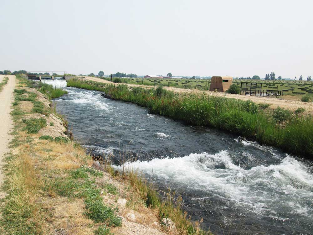 Risch: BLM hindering aquifer recharge in Idaho | Capital Press