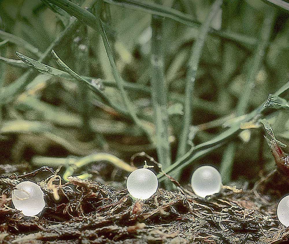 Agrium will offer its innovative products at this year’s Expo | Capital ...