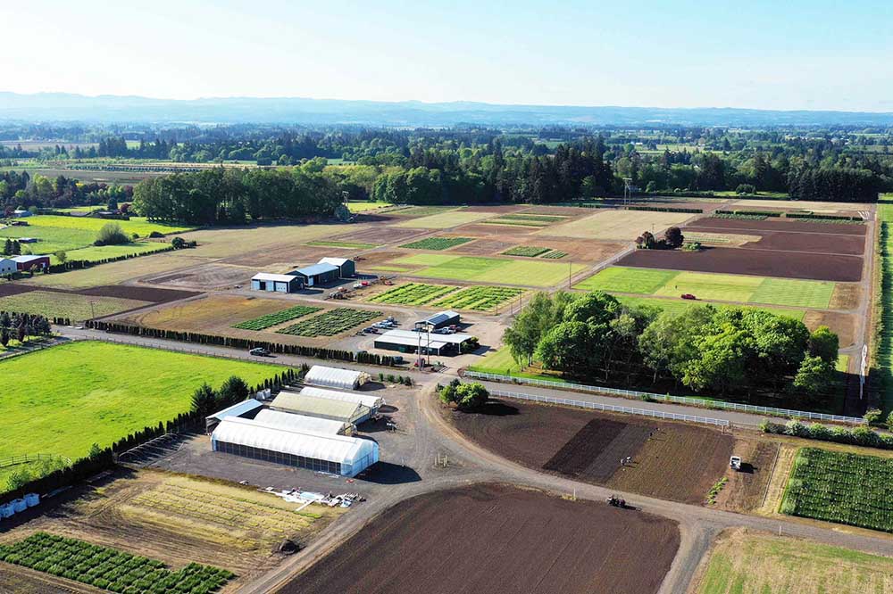 How Oregon grass seed found its way to the World Cup | Capital Press