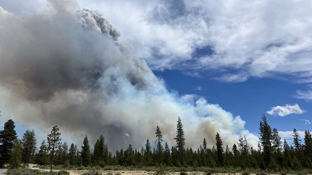 Wildfire ignites southeast of Boise | Capital Press