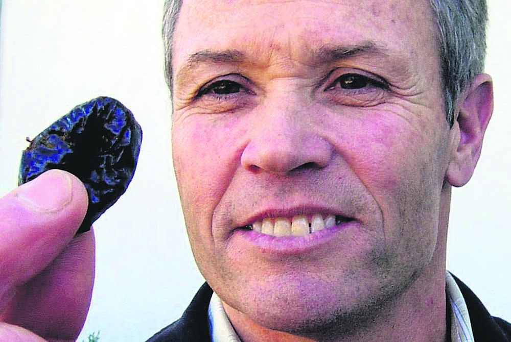 Returns rise as yield, acreage fall | Capital Press