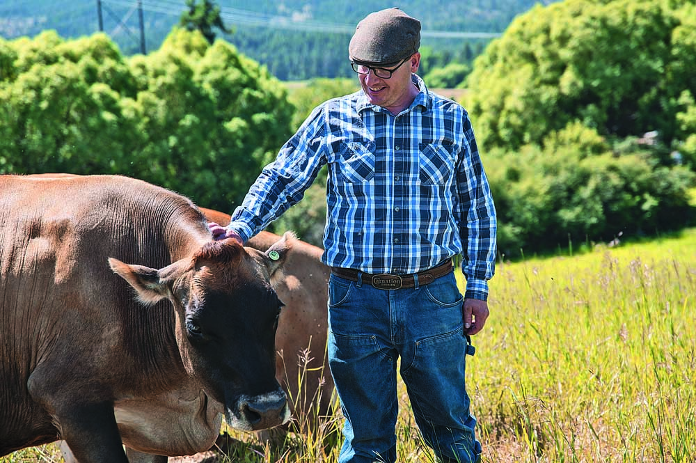 ‘Cheese trail’ promotes Washington artisan cheesemakers | Capital Press