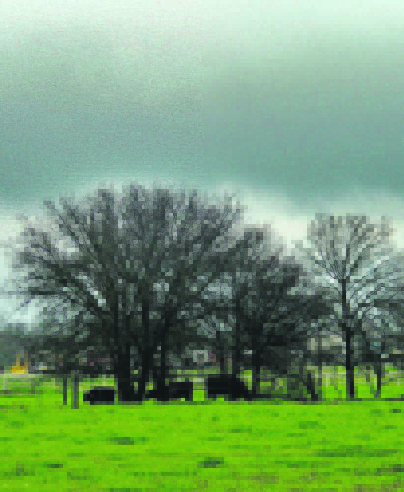 El NiÃ±o keeps rain coming | Capital Press