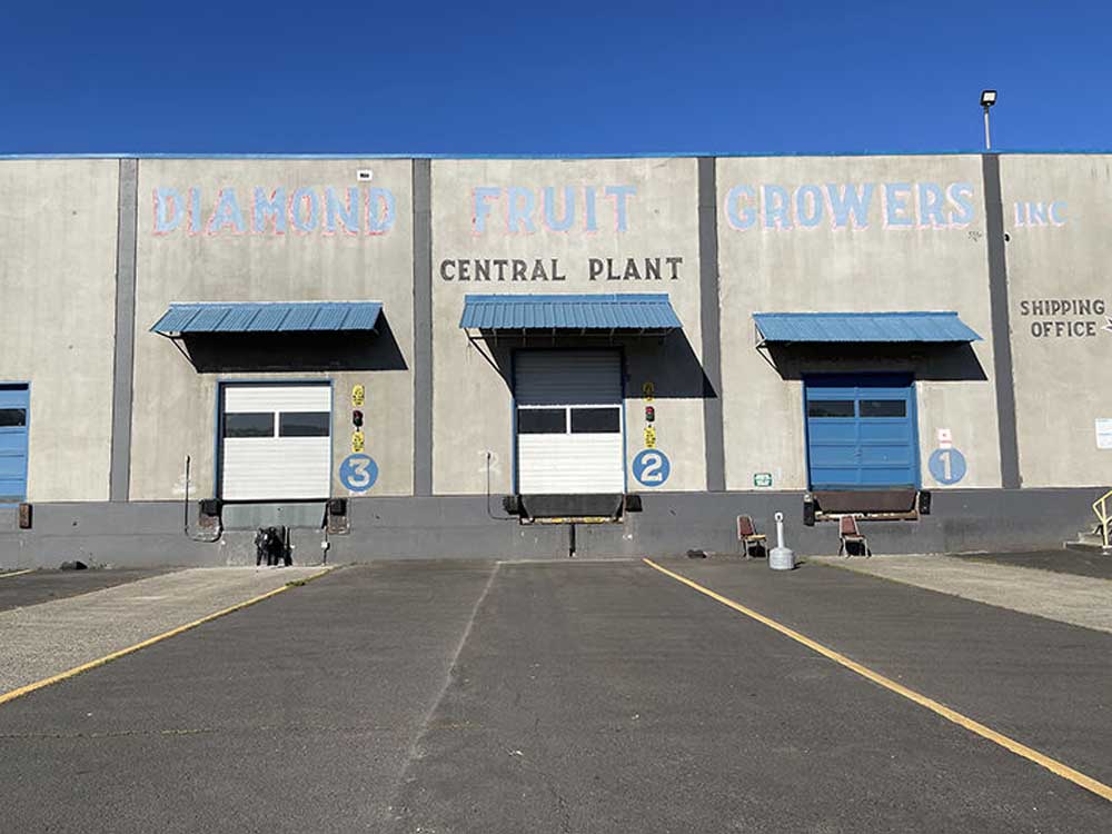 High-tech pears: Automation fuels industry with harvest underway ...