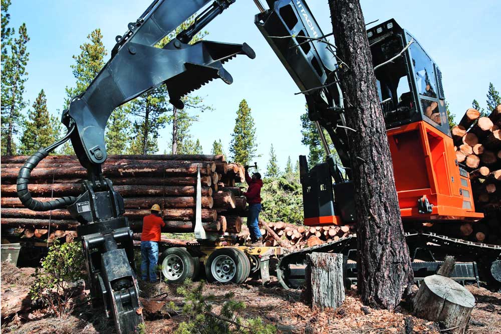 Central Oregon logging industry drops amid construction downturn ...