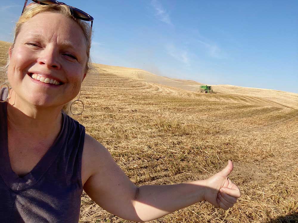 Year of Millets: Farmers willing, but market needs to develop | Capital ...