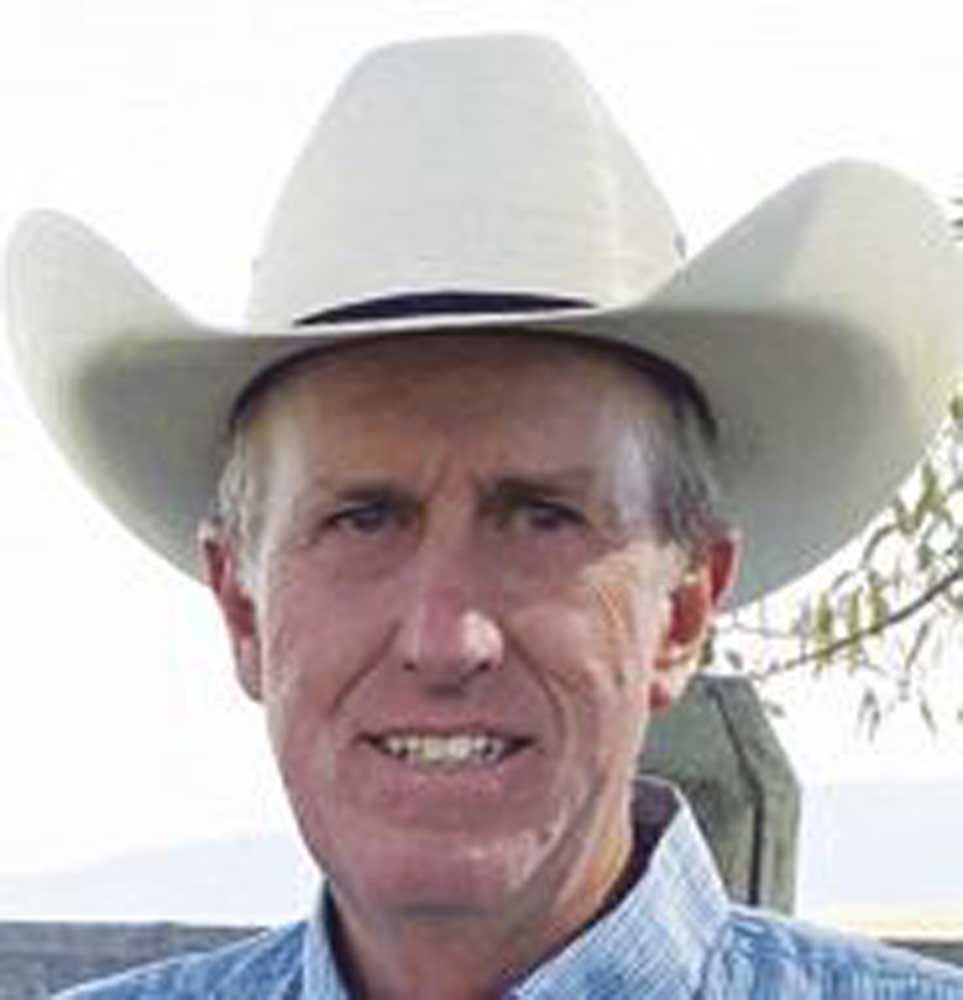 Eastern Oregon ranchers anticipate cattle losses in wildfires | Capital ...