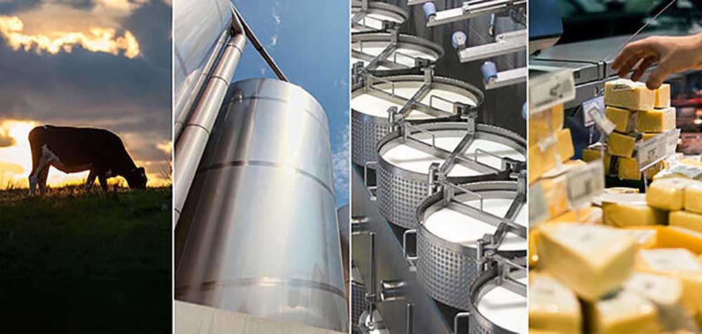 Analysts expect modest recovery from global milk production slump ...