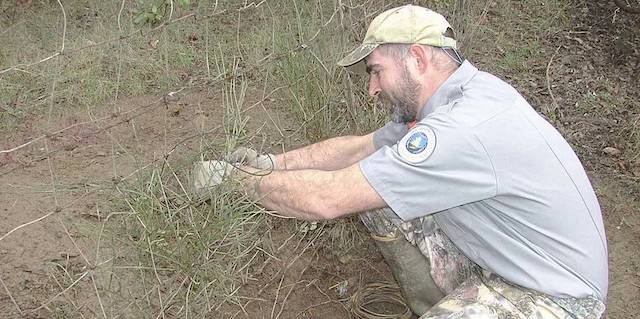 Bill to revive predator control districts survives legislative ...