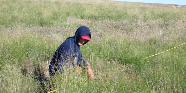 University of Idaho students kick off key rangeland evaluation ...