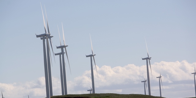 Oregon, Washington sue Trump for blowing off wind projects | Capital Press