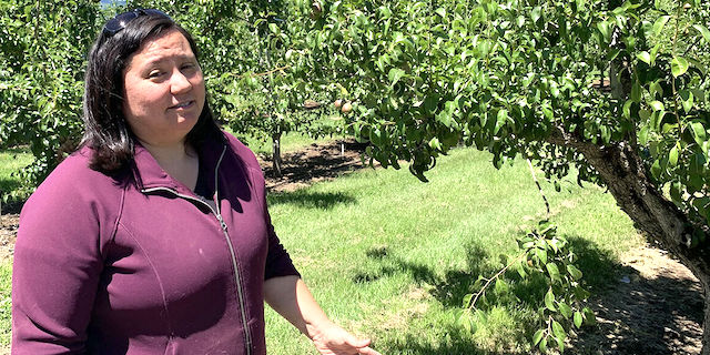 Theft investigation continuing at Columbia Gorge Fruit Growers ...