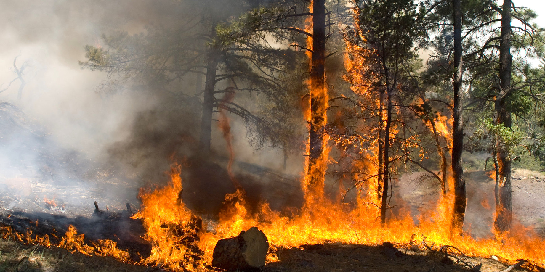 National wildfire officials boost U.S. risk level | Capital Press