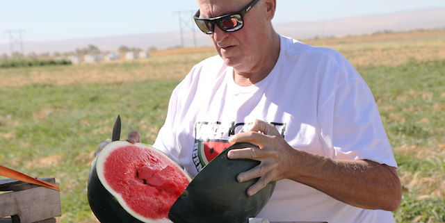 Modern watermelons give consumers array of size, color options ...