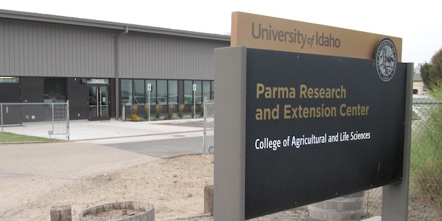 UI Parma field day planned Aug. 14 | Capital Press