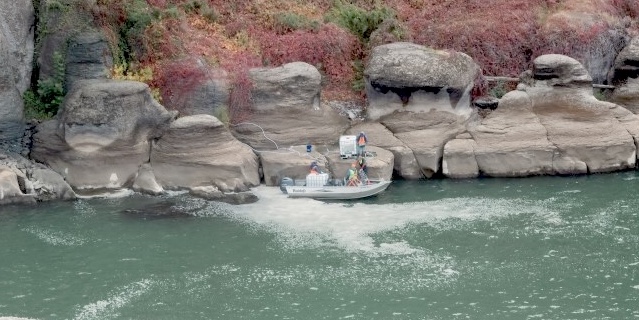 No viable quagga mussels found so far in ISDA Mid-Snake sampling ...