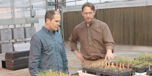 Key WSU weed research team to depart | Capital Press