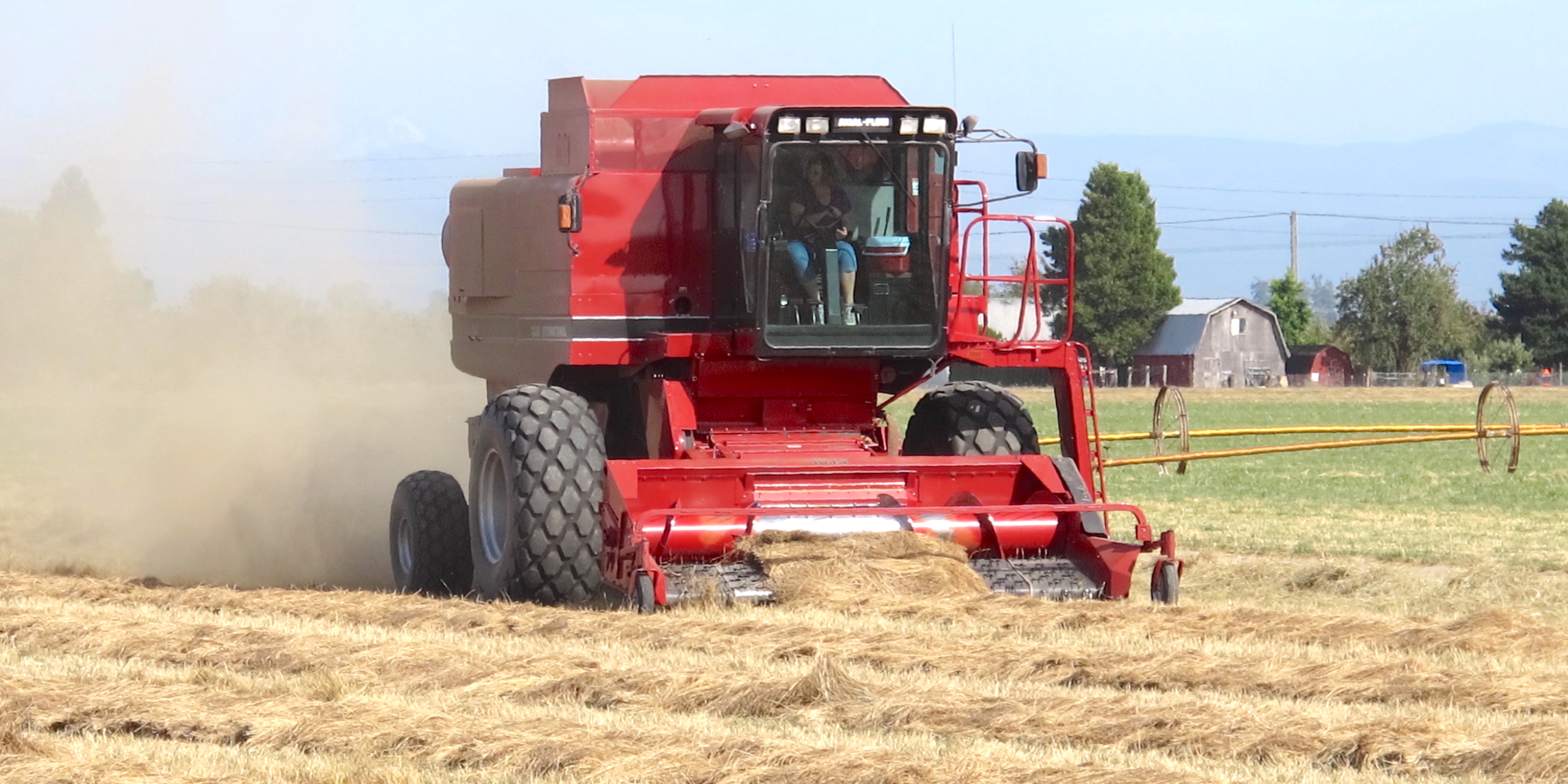 Seed dealer DLF challenges ag department’s enforcement authority | Capital Press